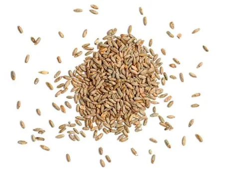 Organic Rye Grains /Organics Certified Organic Rye Berries |5lbs Whole ...