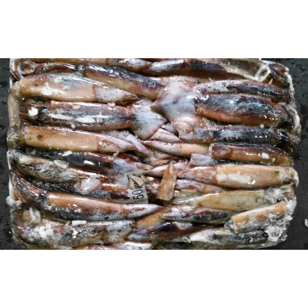 Frozen Whole Round Wild Catch calamari 150 200g (Illex Argentina) fresh ...