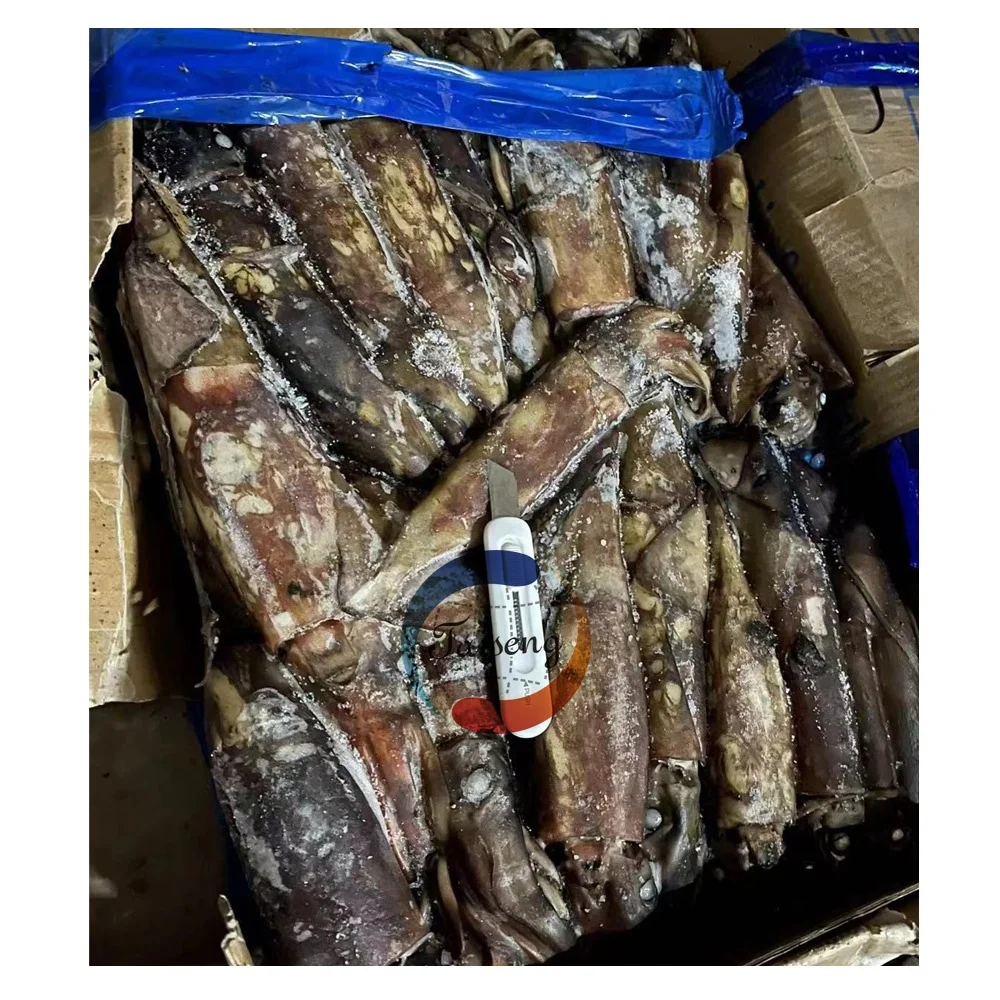 Frozen Whole Round Wild Catch calamari 150 200g (Illex Argentina) fresh ...
