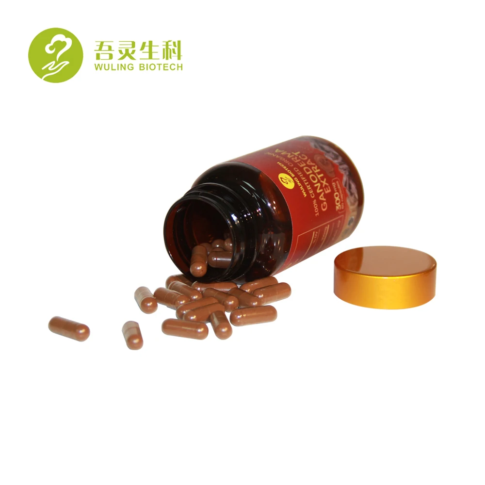 factory price ganoderma lucidum red reishi mushroom capsule lingzhi ...