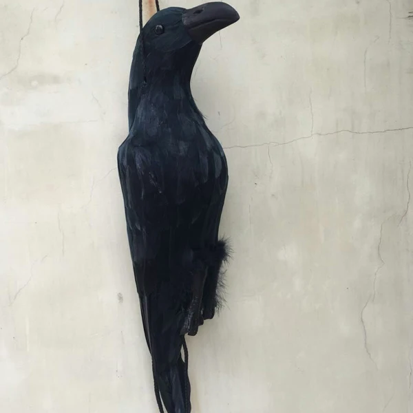 Vivid Full Body Artificial Crows Wholesale Hunting Decoy - Buy in bulk