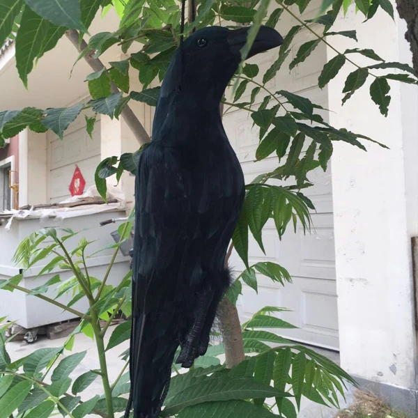 Vivid Full Body Artificial Crows Wholesale Hunting Decoy - Buy in bulk