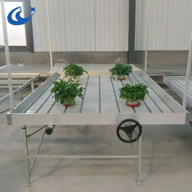 4ftx8ft flood table ebb and flow rolling bench, Hydroponic Growing ebb ...