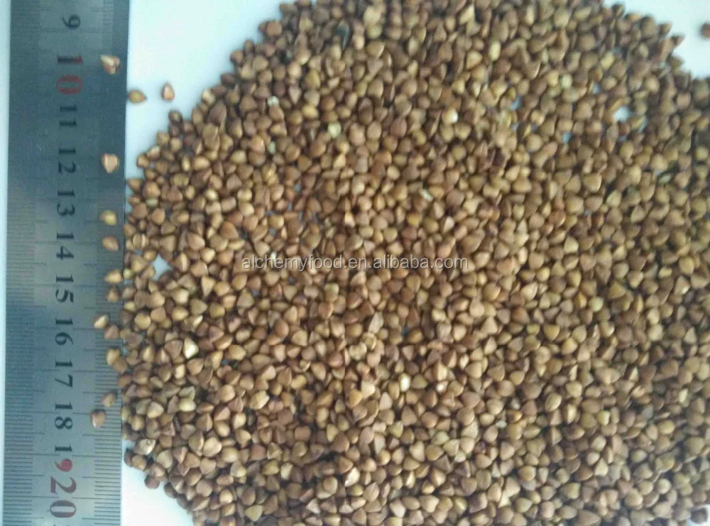Organic buckwheat kernel /buckwheat seed / buckwheat hull - Buy in bulk