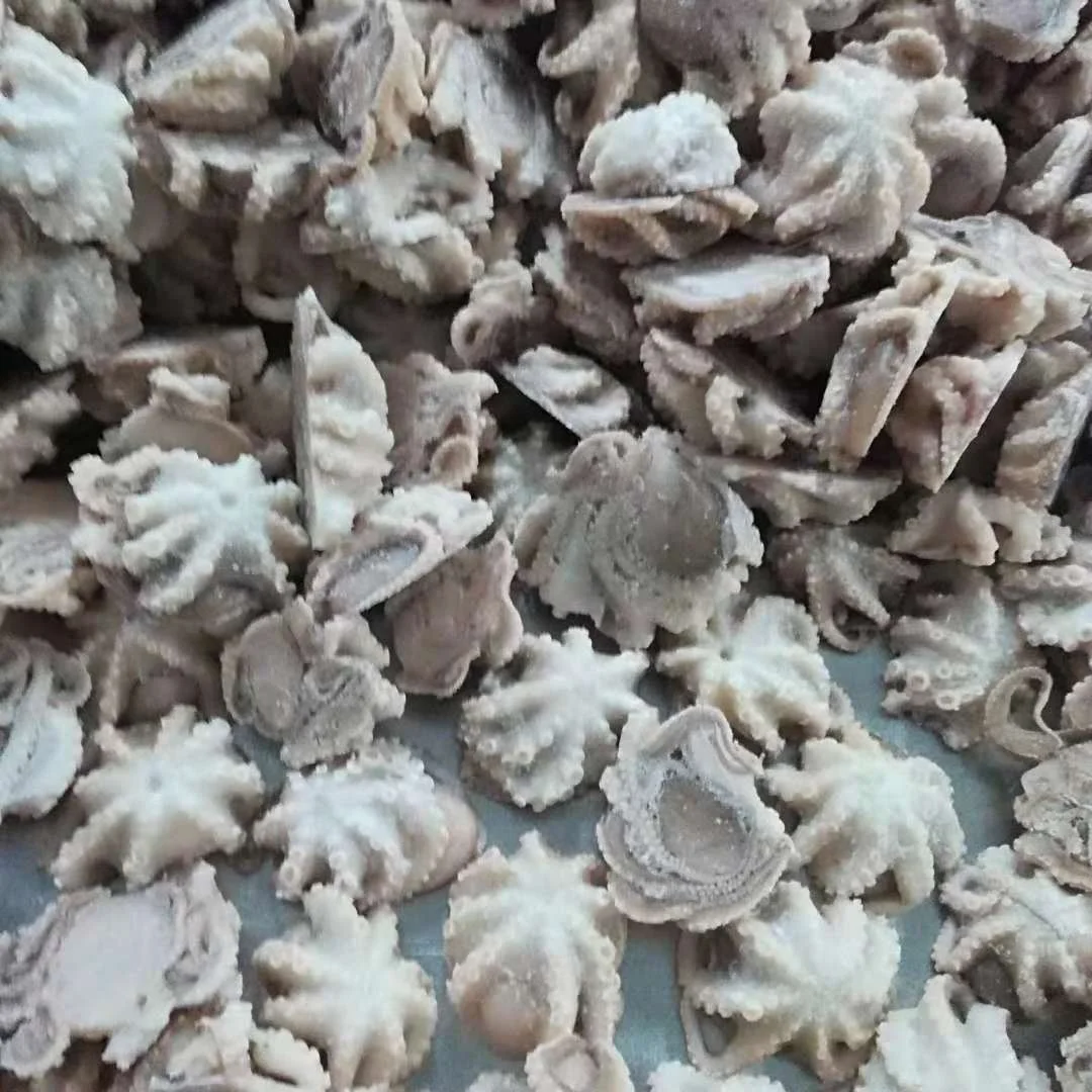 Seafood Frozen Baby Octopus - Buy in bulk