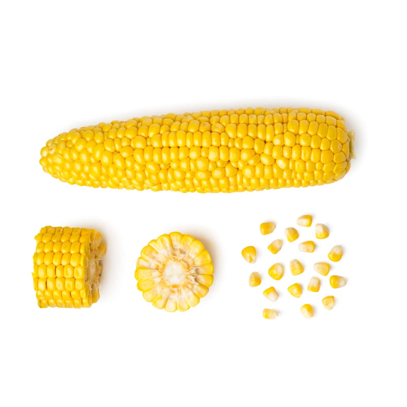 Natural Brazilian origin animal Feed Maize Corn Maize for cattle and ...